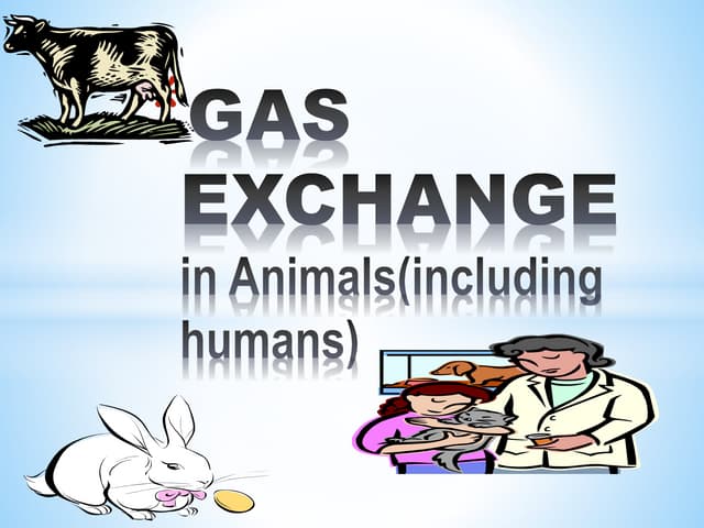 Gas Exchange in Animals (Including Human) | PPTX