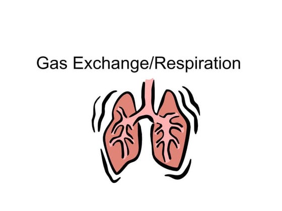 Gas exchange | PPT