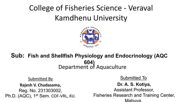 Diffusion In Fish Gills | PPT