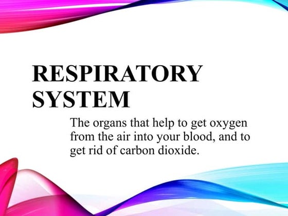 1. Respiratory system of both the upper and lower respiratory tract | PPT