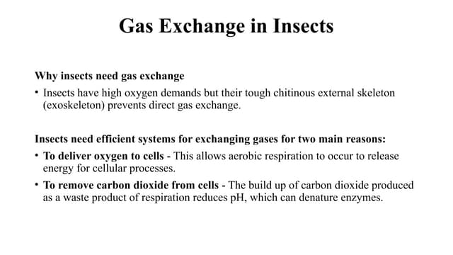 Definition and factors affecting gas exchange | PPT