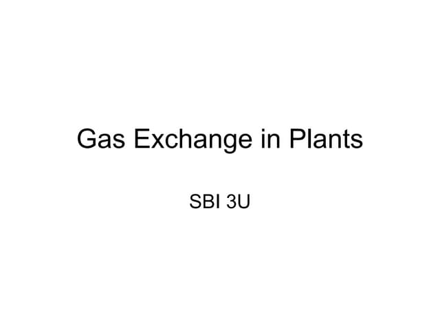 Gases Exchange in Plants | PPTX