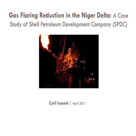 Gas Flaring Reduction In The Niger Delta | PDF