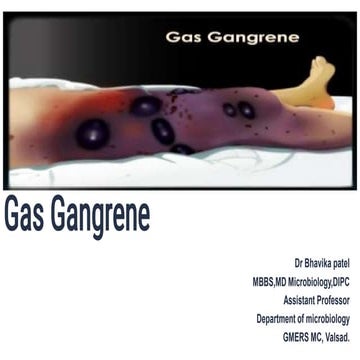 Gas gangrene dr bhavika(pathogenies,clinical features and lab diagnosis ...