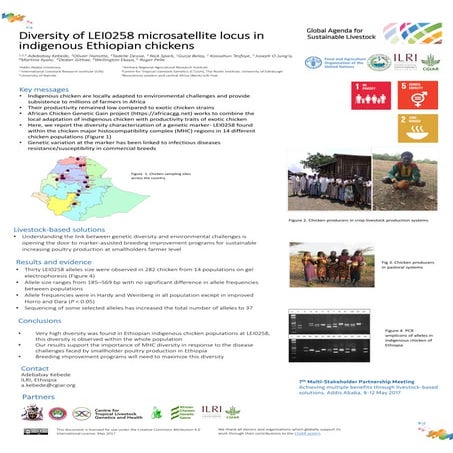 Diversity of LEI0258 microsatellite locus in indigenous Ethiopian ...