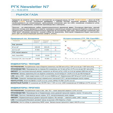 Gas market review 11 15.02.2019