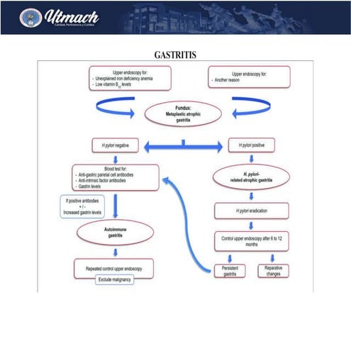 Gastritis algorithm | DOCX