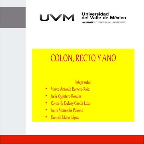 colon, recto y ano. | PPTX