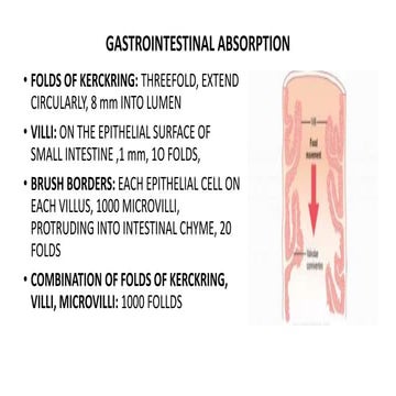 Gastrointestinal absorption | PPTX