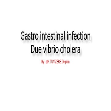 Gastro intestinal infection_due_vibrio_cholera[1] | PPT