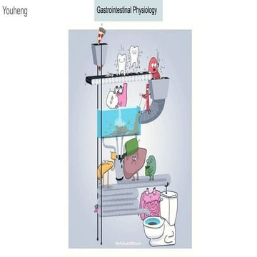 Comprehensive Overview of Succus Entericus: Composition, Function, and ...