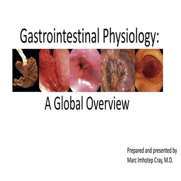 Gastrointestinal Physiology_A Global Overview | PDF | Biological ...
