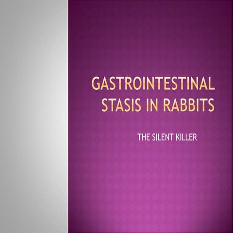 Gastrointestinal stasis in rabbits | PPT