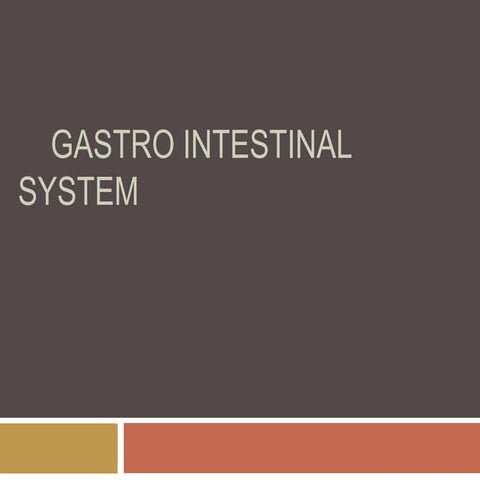 Gastro intestinal system anatomy | PPTX