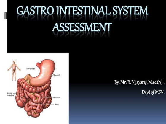 Assessment of the abdomen | PPT