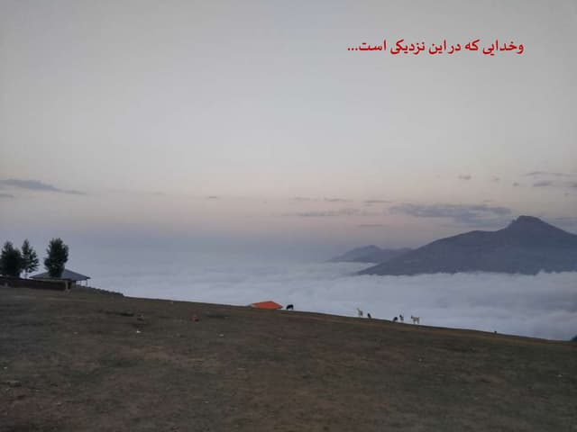 morphogenetic movements-developmental biology | PPTX