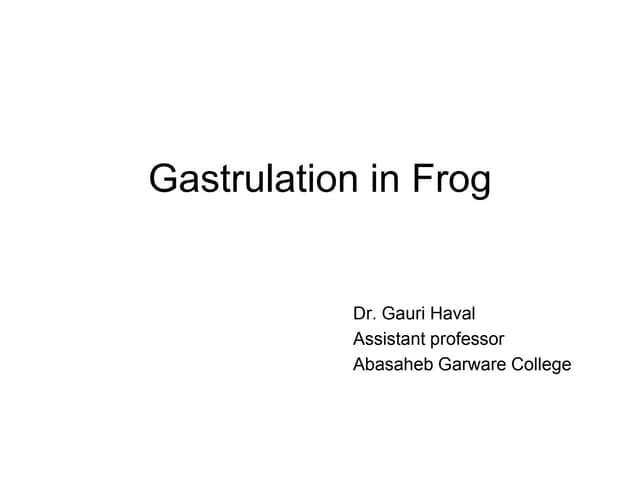 Development of frog up to formation of three germ layers, Blastula ...