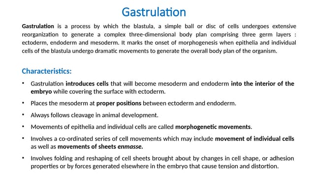 morphogenetic movements-developmental biology | PPTX
