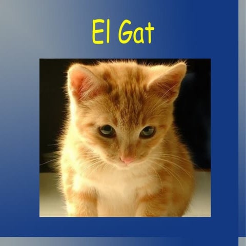 El Gat | PPT