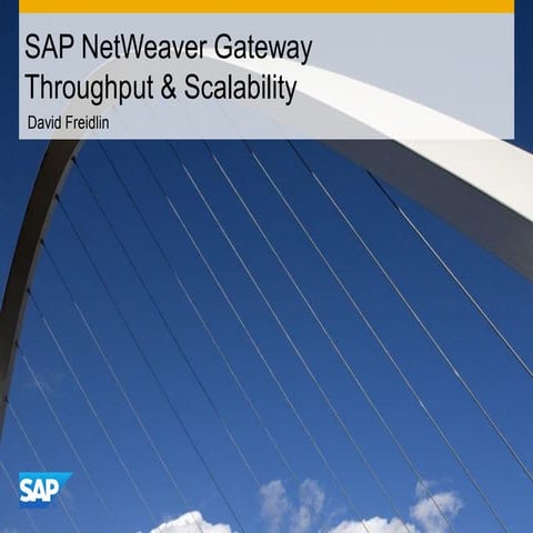 SAP Gateway scalability testing | PDF
