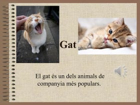 Gats | PPT