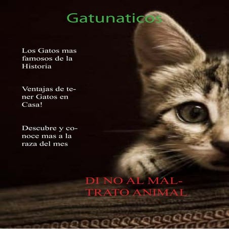 Ejercicio word gato | DOC