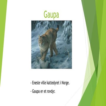 Gaupa | PPT