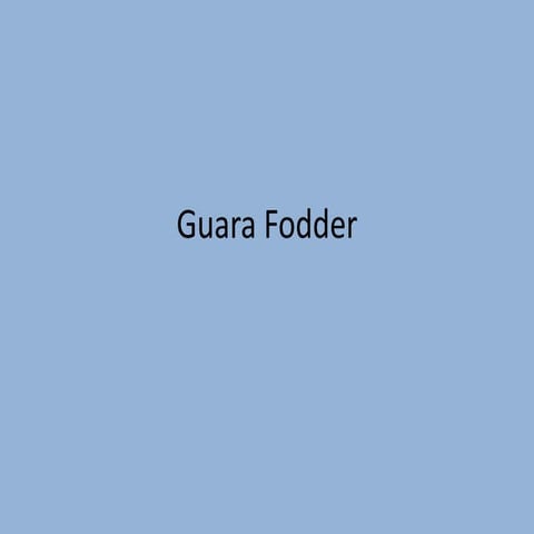 Guara grass | PPTX
