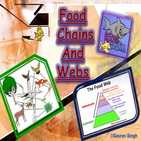 Producers, Consumers, And Decomposers | PPT