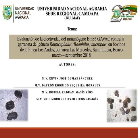 Evaluación de la Efectividad del Inmunógeno Bm86 GAVAC para el control ...