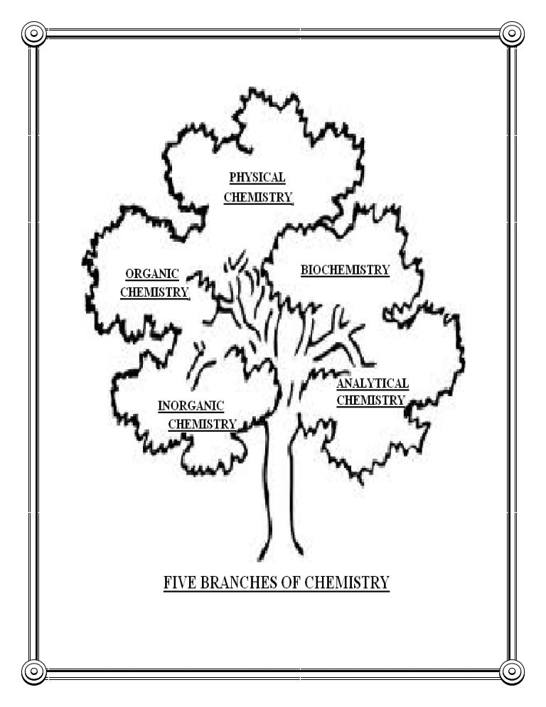 Branches Of Chemistry