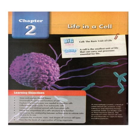 GB1 Q1 04 Life in a Cell (1).pptx GRADE 11 | PDF