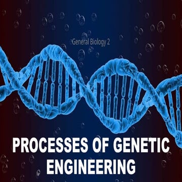 processes of genetic engineering powerpoint presentation | PPTX