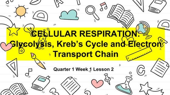 Cellular respiration introduction for 9th grade biology | PPT