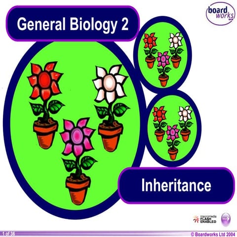GB2 W3L3 Genetics.ppt