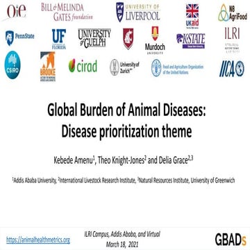 Global Burden of Animal Diseases: Disease prioritization theme | PPTX