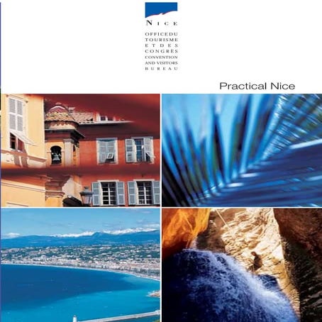 Nice Practical Guide | PDF