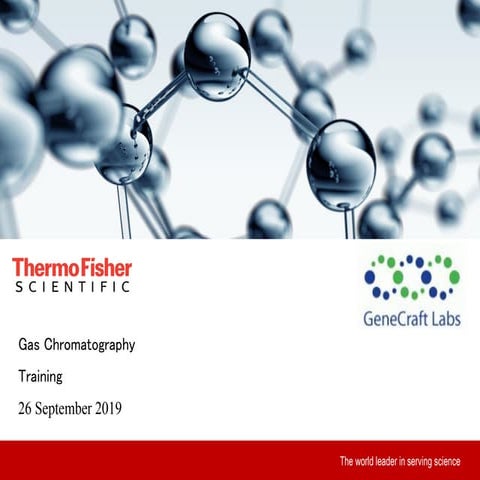 Gas Chromatography Thermo Fisher Scientific | PDF