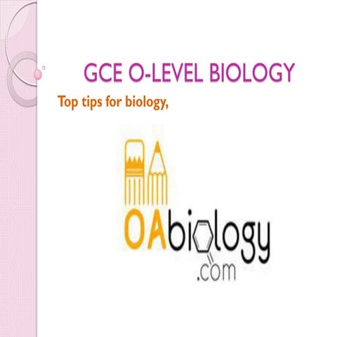 O Level Biology Tuition | PDF