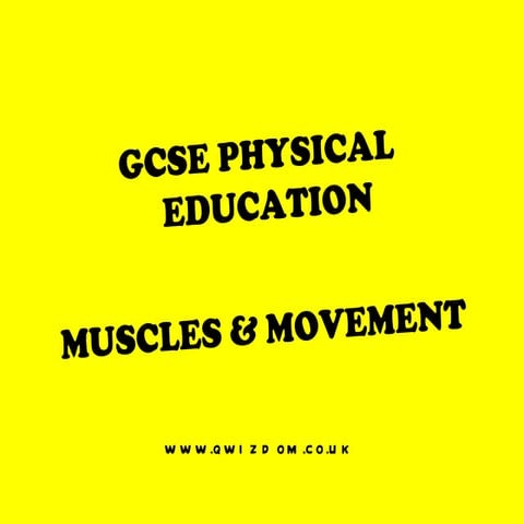 GCSE PE | PPT