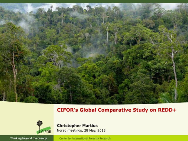 CIFOR's Global Comparative Study on REDD - Objects, Structure, Results ...