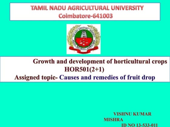 Fruit Drop its Causes and Measures to Control | PPT