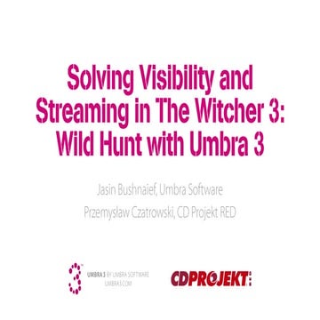 Solving Visibility and Streaming in The Witcher 3: Wild Hunt with Umbra 3 | PPT
