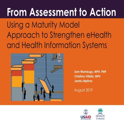 From Assessment to Action: Using a Maturity Model Approach to ...
