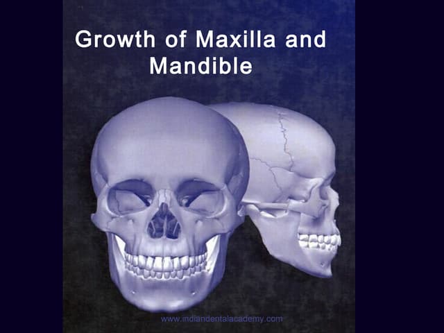 growth and development of maxilla | PPTX