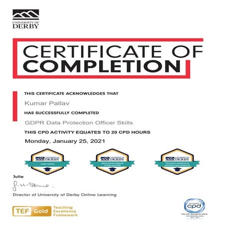 GDPR Data Protection Officer (DPO) Skills | PDF