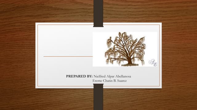 STS - technology as a way of revealing | PPTX