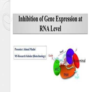 Inhibition of Gene Expression at RNA Level | PPTX