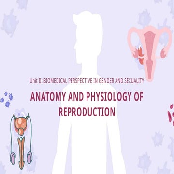 The human reproductive system is a biological system responsible for ...