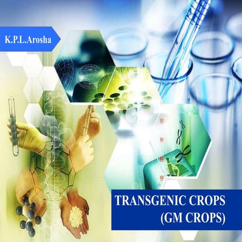 Transgenic crops(GM crops) | PPTX